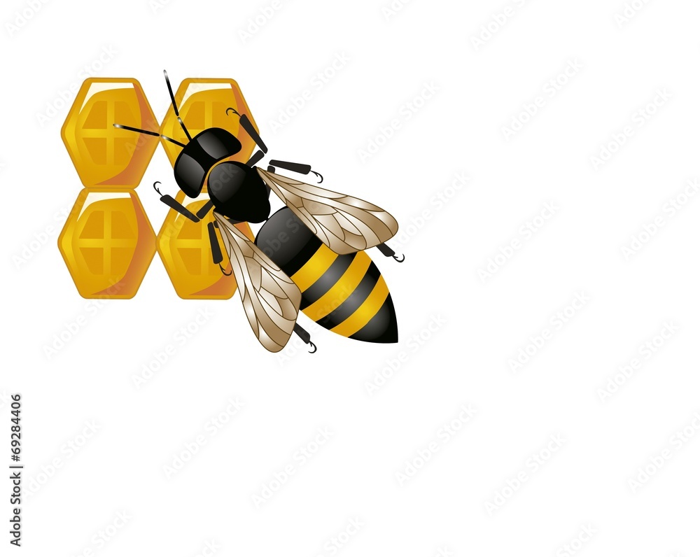 abeja Stock Illustration | Adobe Stock