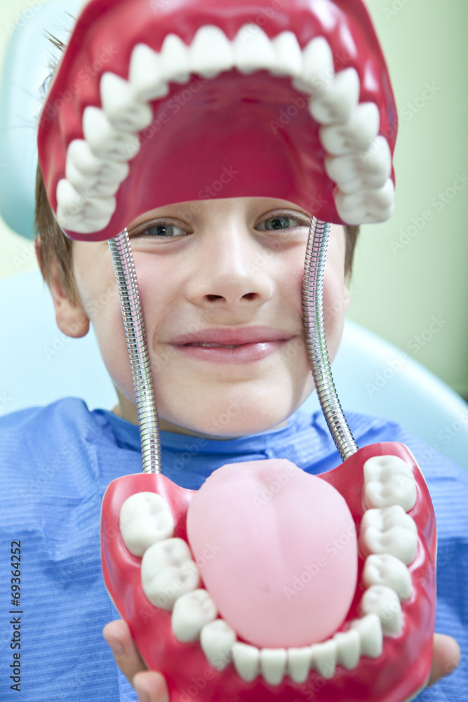 Young boy with jaw of dentist's sample teeth Stock Photo | Adobe Stock