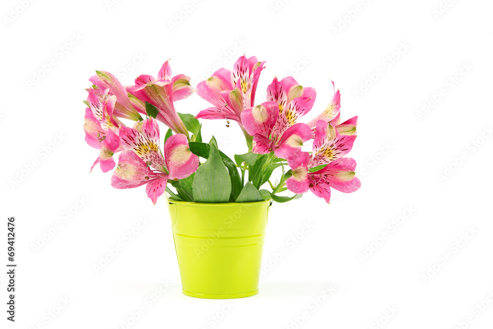 Bouquet of lily flowers in a bucket. Stock Photo | Adobe Stock