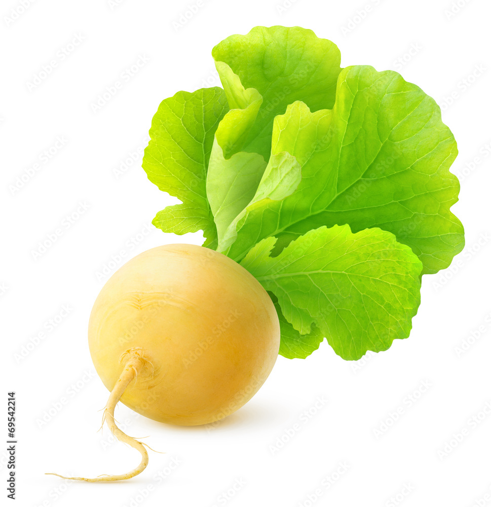 Isolated turnip. Yellow turnip with big leaves over white background ...