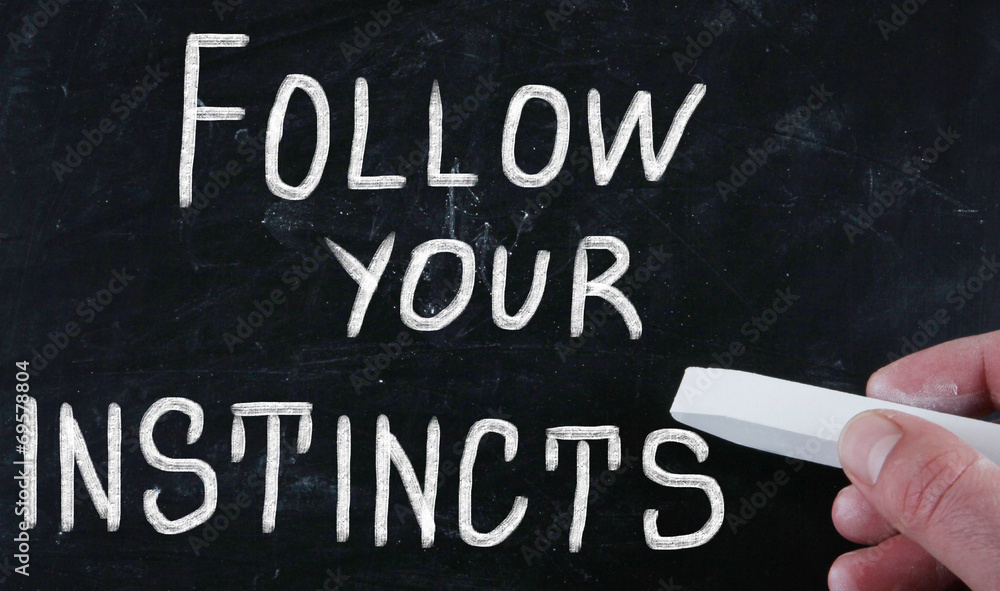 follow your instincts Stock Photo | Adobe Stock