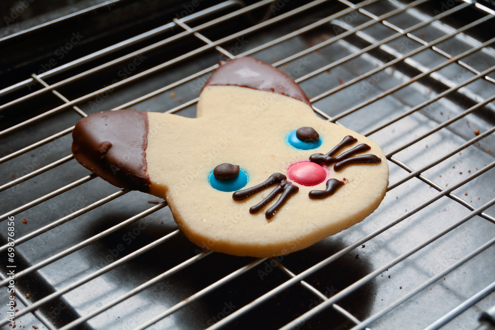 Shortbread cat biscuit on wire rack Stock Photo | Adobe Stock