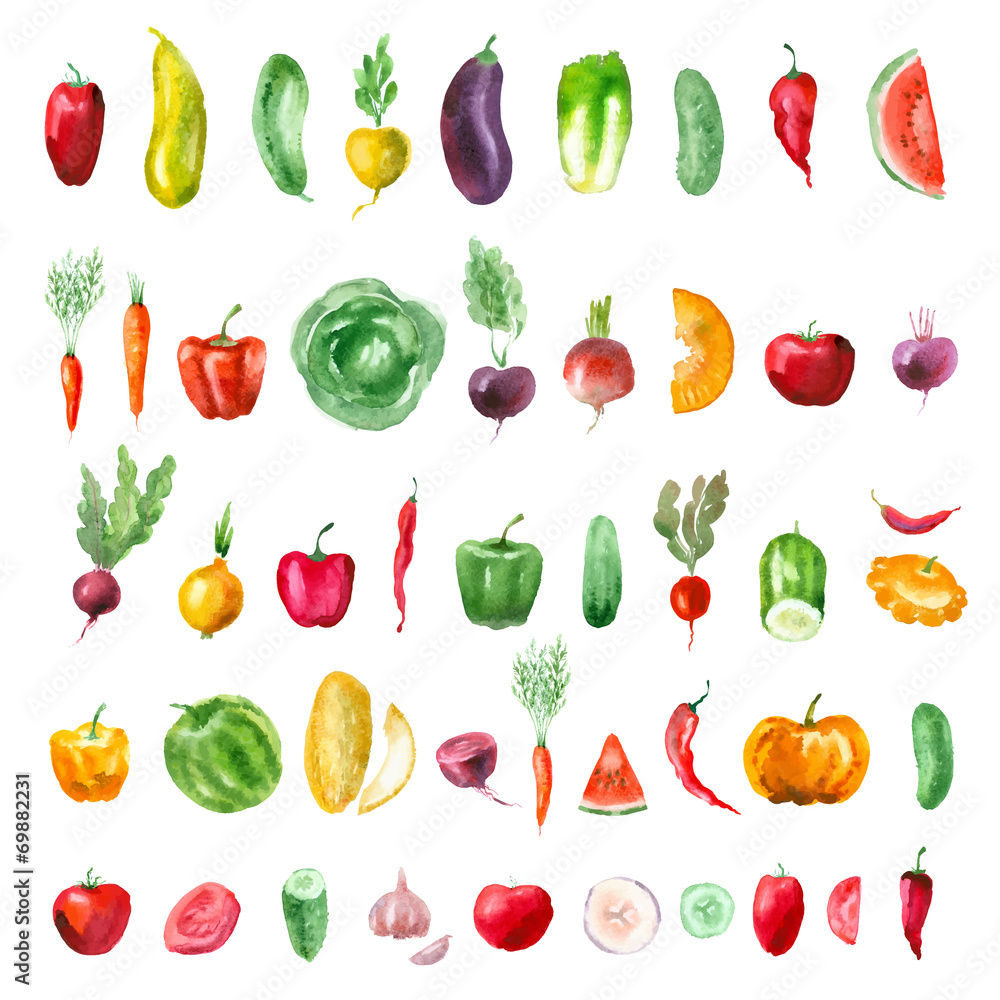 Vegetables. Vector format Stock Vector | Adobe Stock