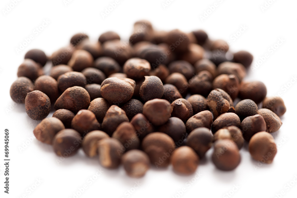 Santalum album (Indian sandalwood) seed Stock Photo | Adobe Stock