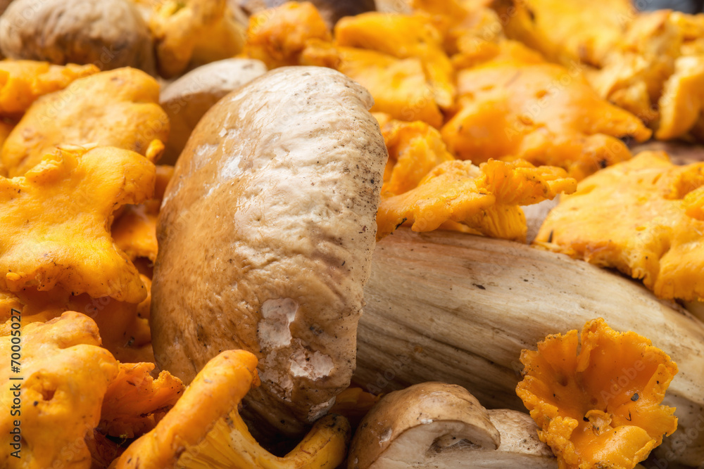 Foto Stock Funghi porcini e finferli in un cestino su un tavolo | Adobe ...