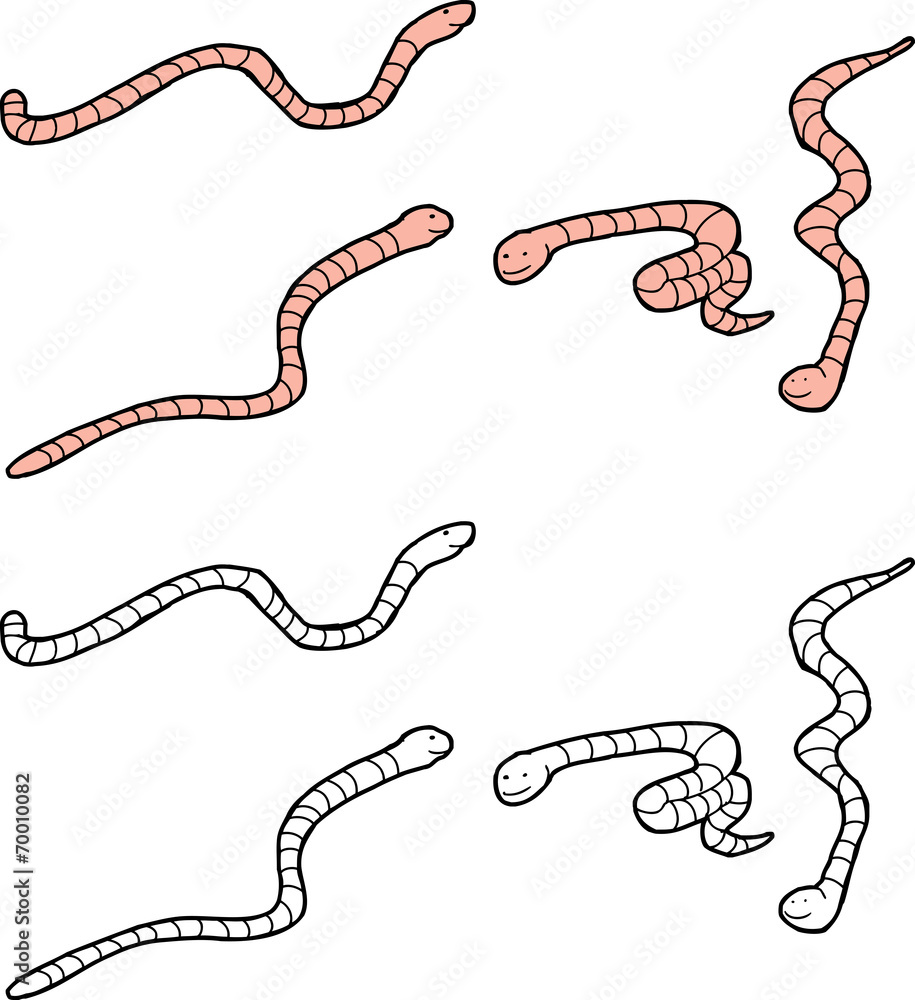 Group of Worms Stock Vector | Adobe Stock