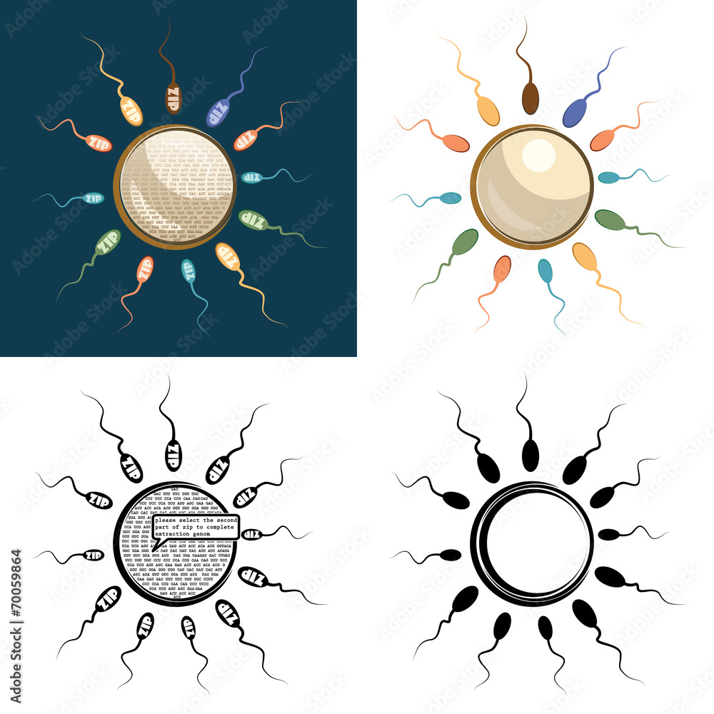 egg cell Stock Vector | Adobe Stock