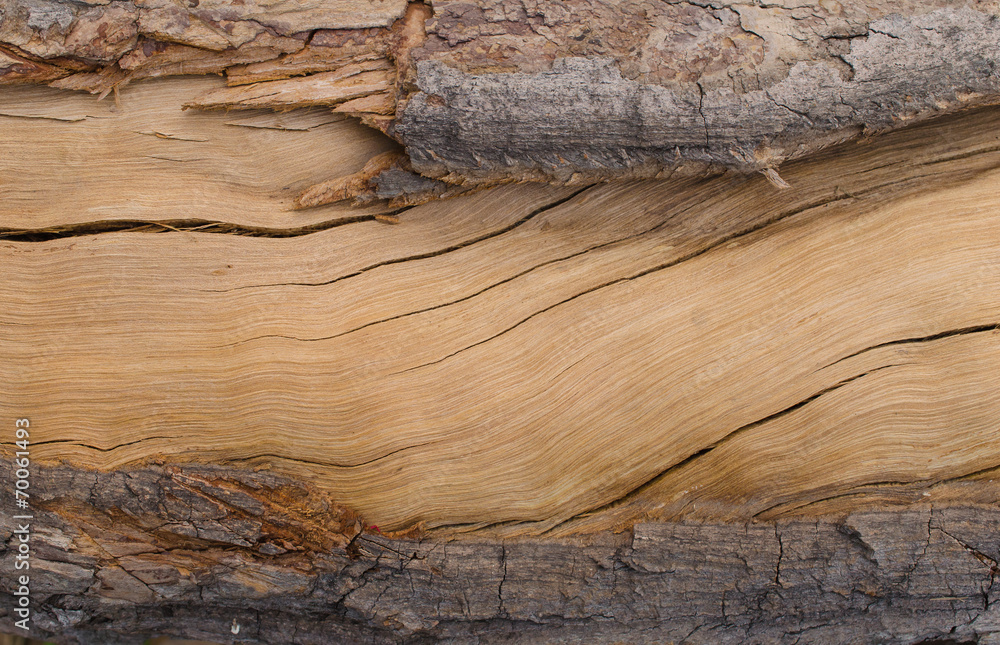 frame of cracked wood texture for background Stock Photo | Adobe Stock