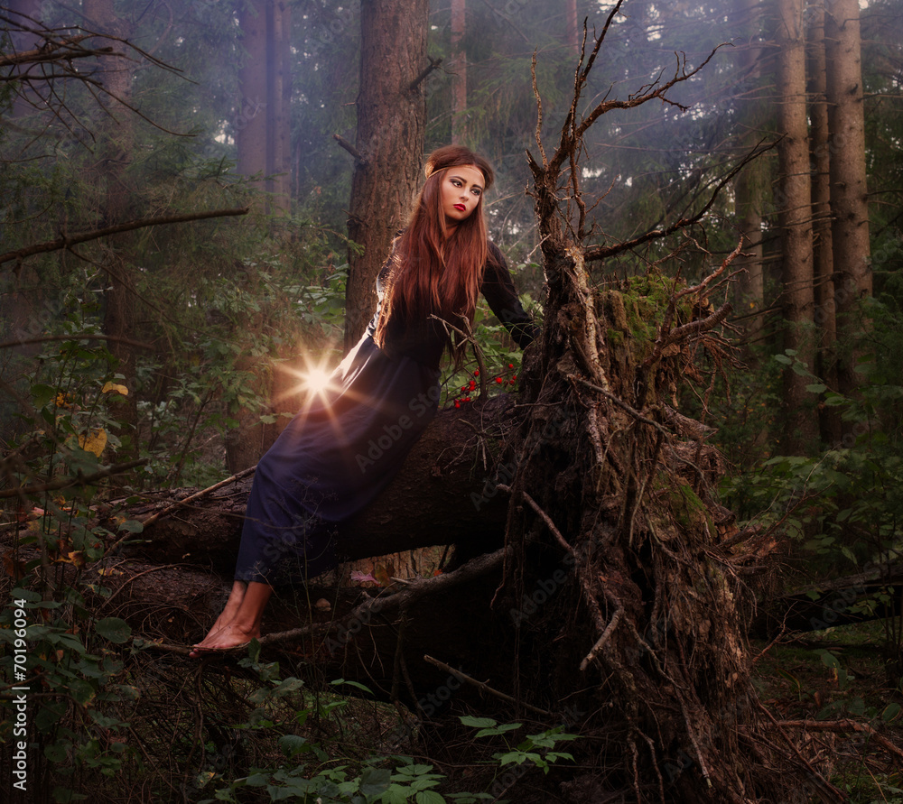 Beautiful witch sitting on a tree trunk in the forest Stock Photo ...