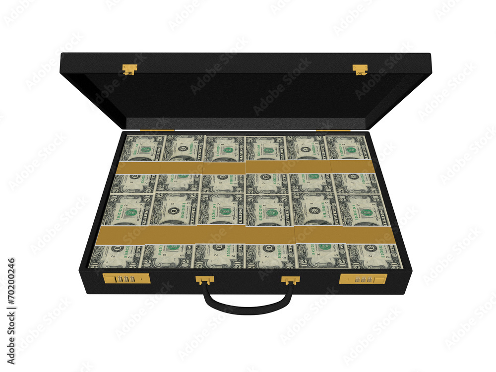 Malette de billets sur fond blanc Stock Illustration | Adobe Stock