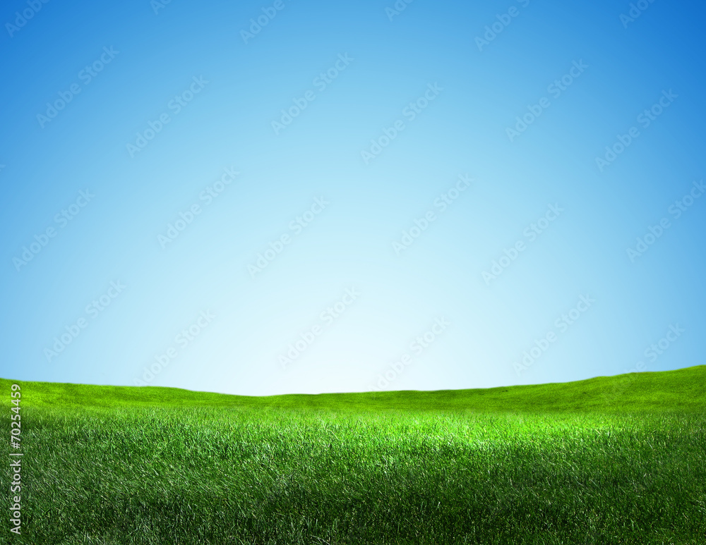Green field Stock Illustration | Adobe Stock