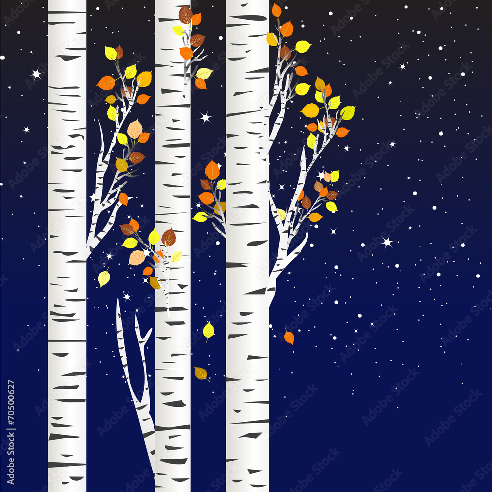 Birch trees in the autumn over a starry night Stock Illustration ...