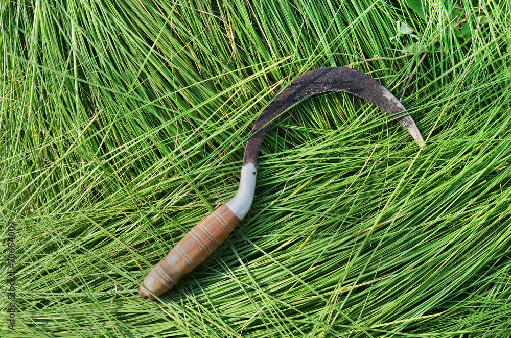 sickle on grass Stock Photo | Adobe Stock