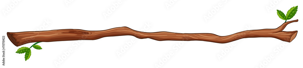 Branch Stock Vector | Adobe Stock