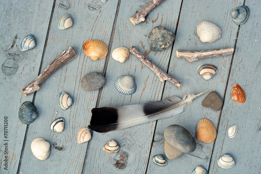 Schelpen en veer op oud geverfd hout Stock Photo | Adobe Stock