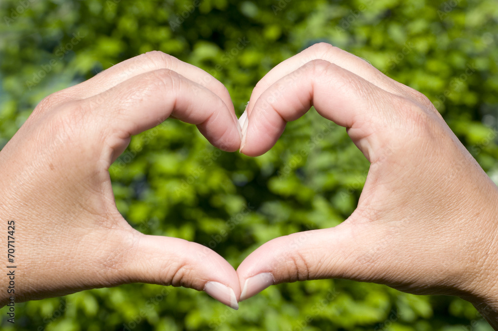 Hände bilden Herz Stock Photo | Adobe Stock