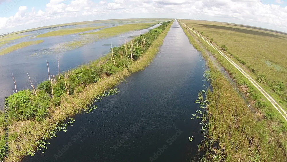 Aerial view of the Florida Everglades Stock Video | Adobe Stock