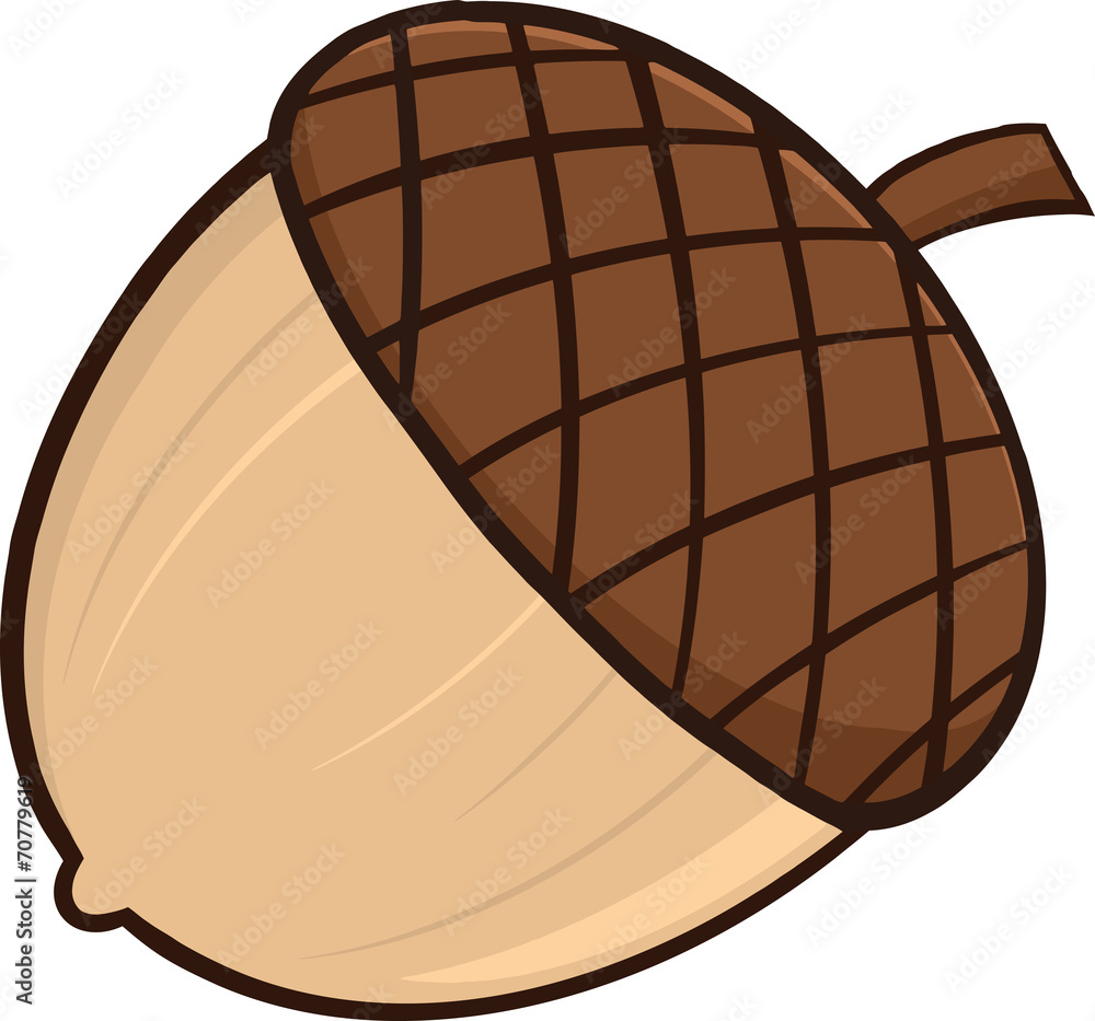 Acorn Cartoon Illustrations Stock Vector | Adobe Stock