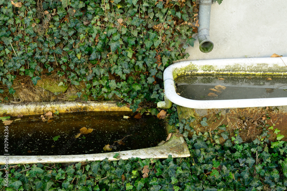 Regenwasser, q. Stock Photo | Adobe Stock