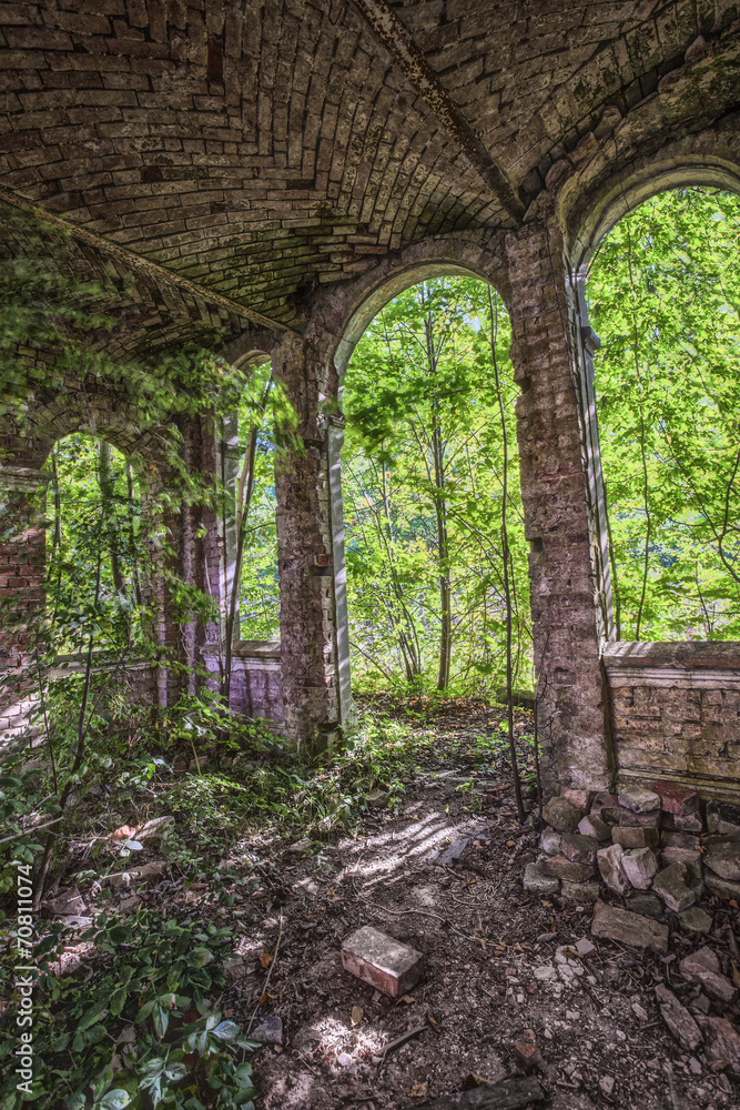 Overgrown Ruins