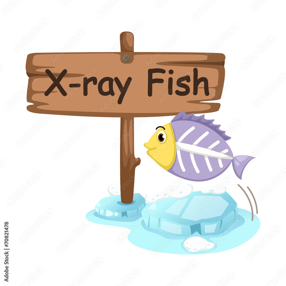 animal alphabet letter X for x-ray fish Stock Vector | Adobe Stock