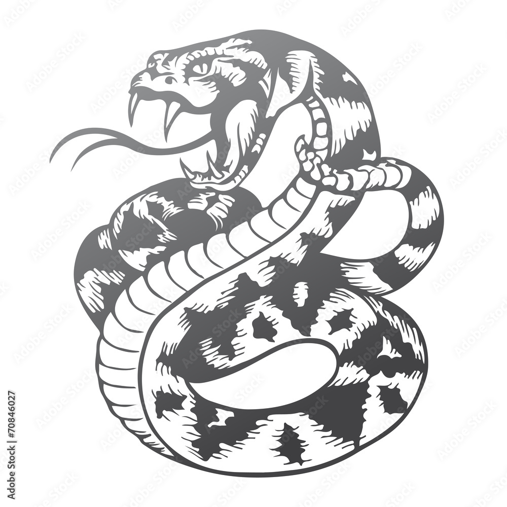 Snake Stock Vector | Adobe Stock