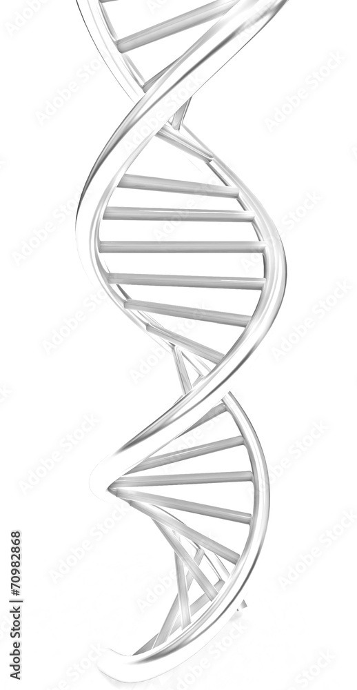 Dna Pencil Drawing