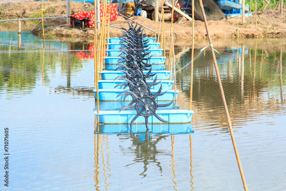 Shrimp farm Stock Photo | Adobe Stock