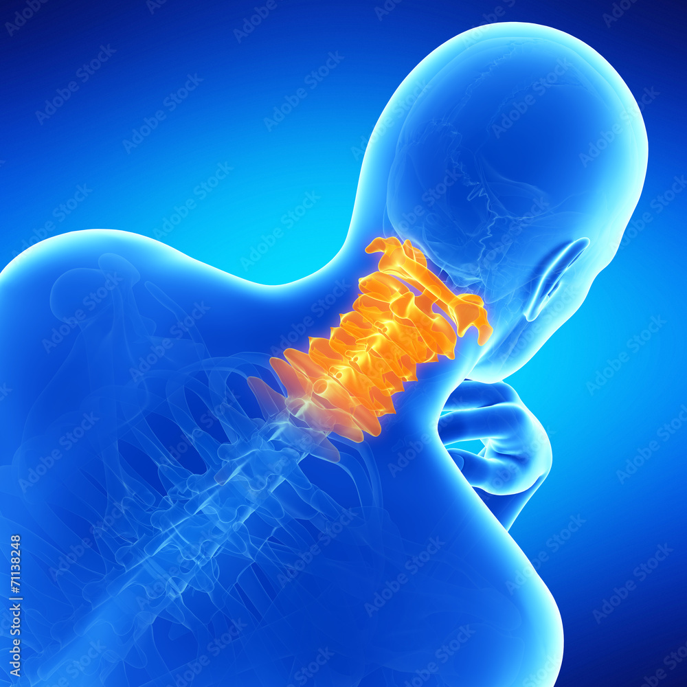 medical illustration of the human cervical spine Stock Illustration ...