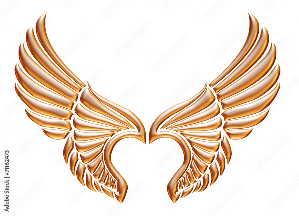 Golden eagle wing isolated on white background. Stock-Illustration ...