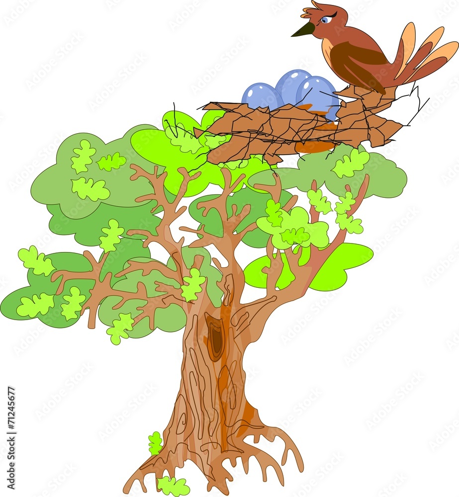 Bird Nest In Tree Clip Art