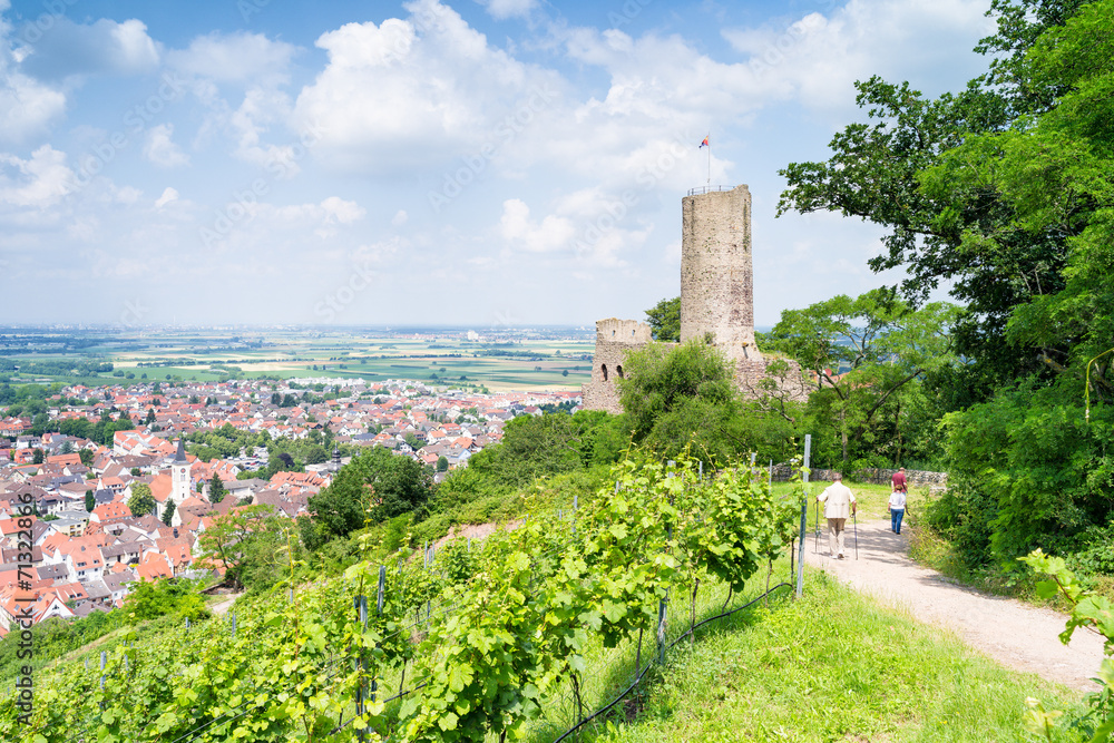Strahlenburg in Schriesheim Stock-Foto | Adobe Stock