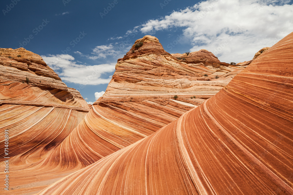 the wave Stock Photo | Adobe Stock