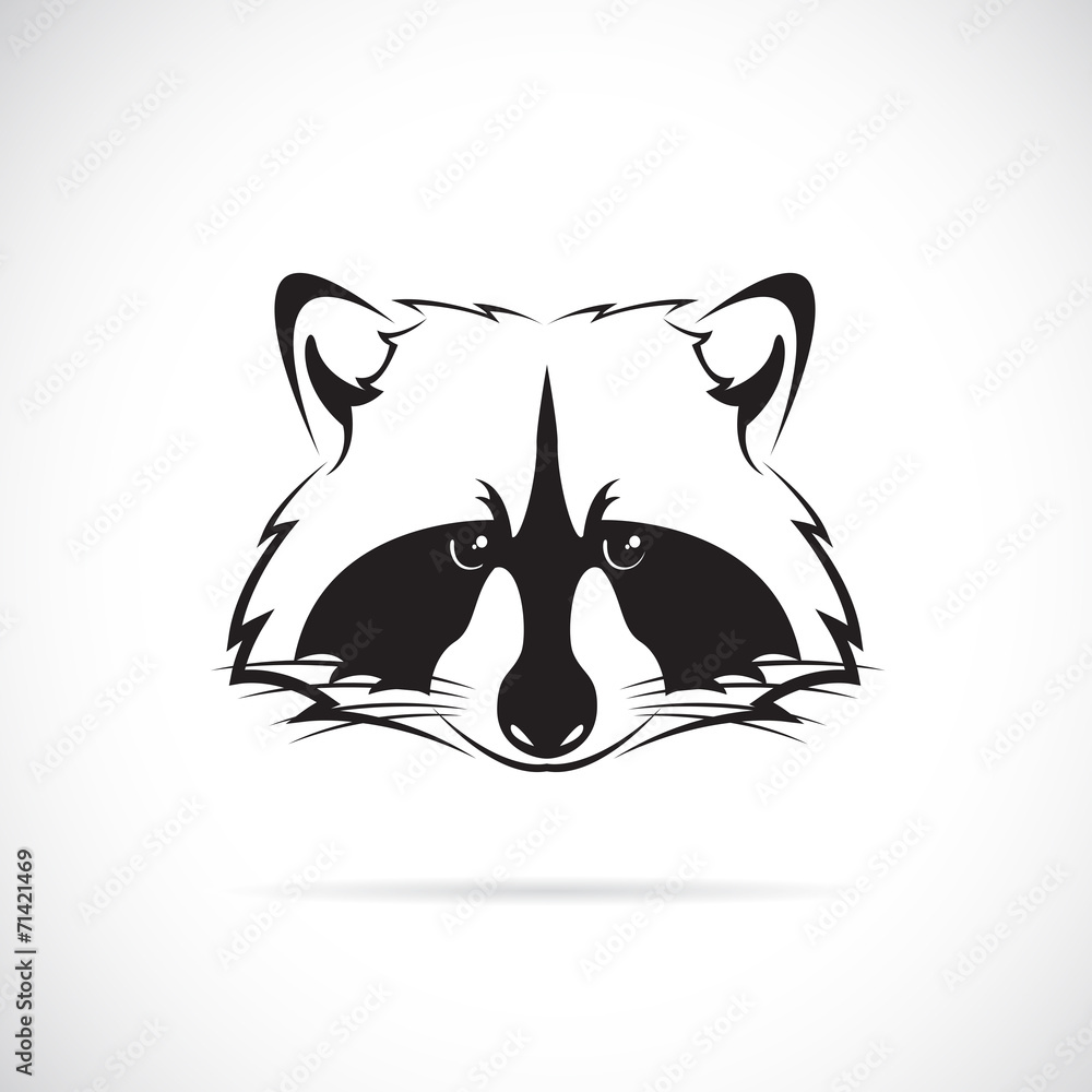 Vector of a raccoon face on white background. Animal. Stock Vector ...