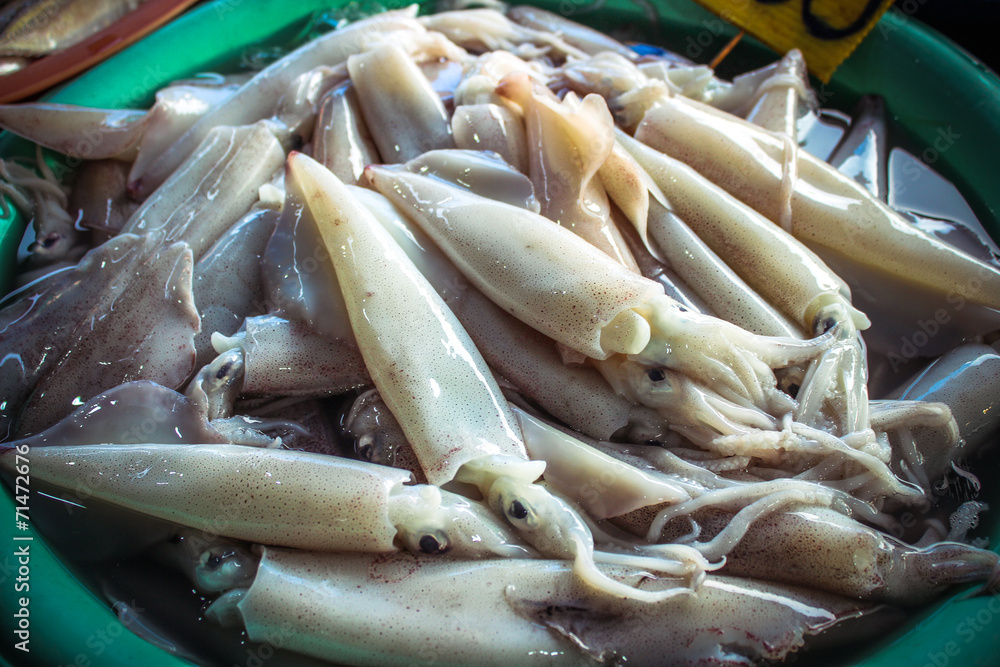 Fresh squid in the market Stock Photo | Adobe Stock