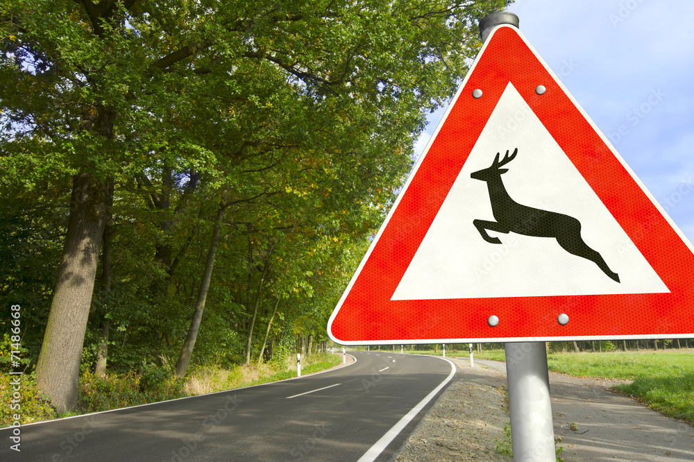 Foto de Straße mit Verkehrsschild Achtung Wildwechsel do Stock | Adobe ...