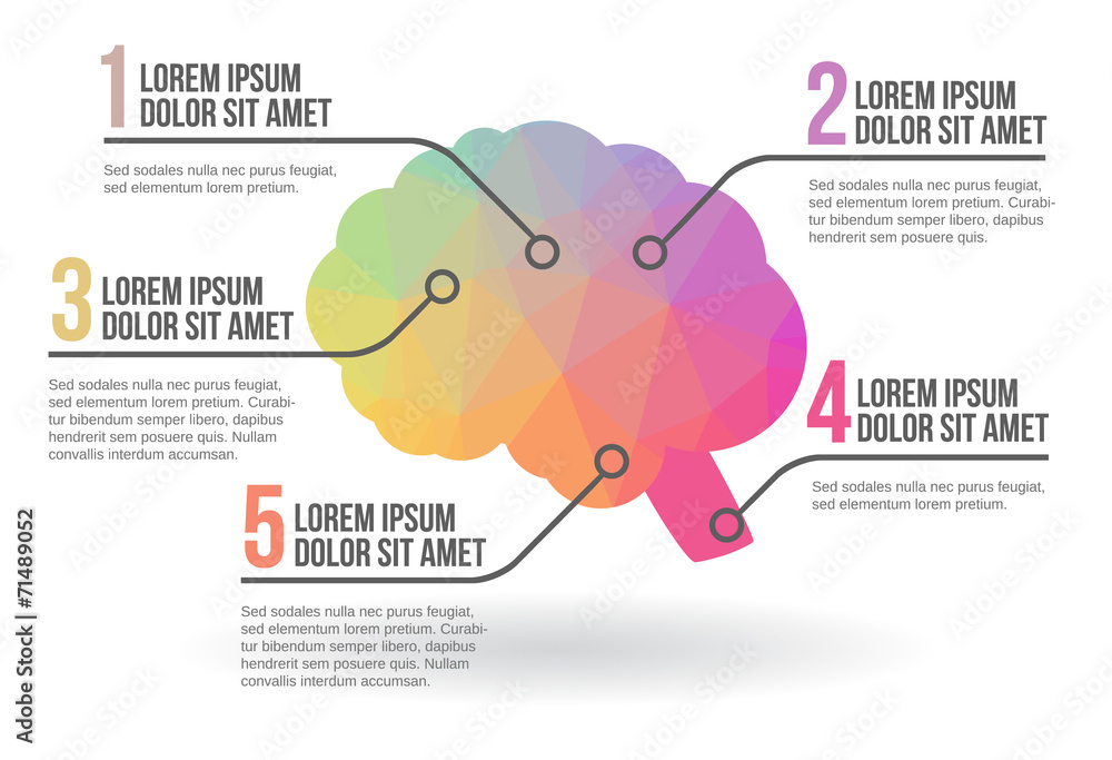 Human brain infographic, vector illustration Stock Vector | Adobe Stock