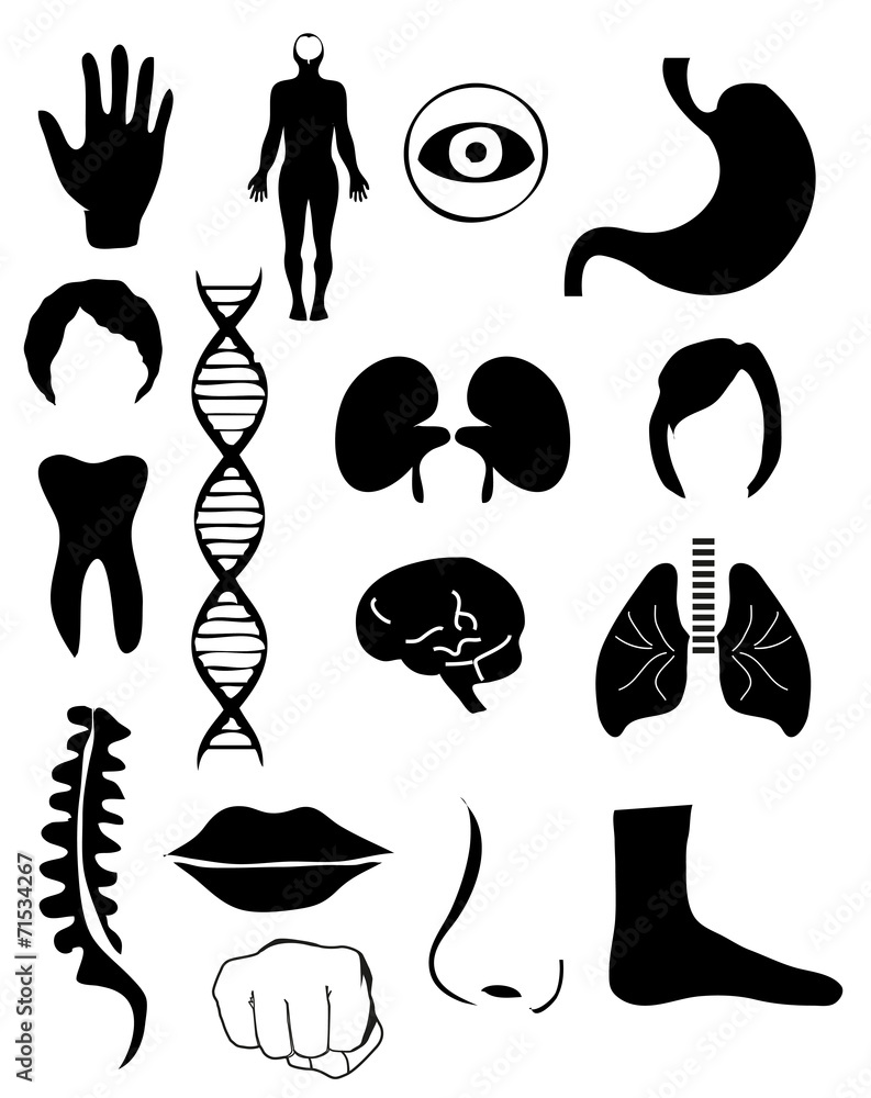 Human body parts icons set Stock Vector | Adobe Stock