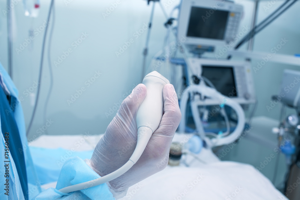 Ultrasound sensor in the hands of the researcher Stock Photo | Adobe Stock