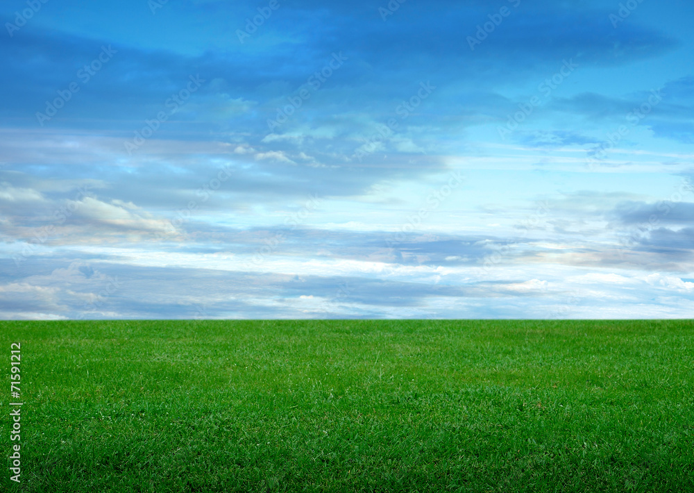 soccer field and beautiful blue sky Stock Photo | Adobe Stock