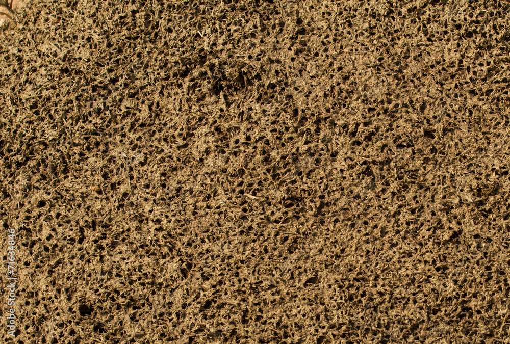 Cow shit texture Stock Photo | Adobe Stock