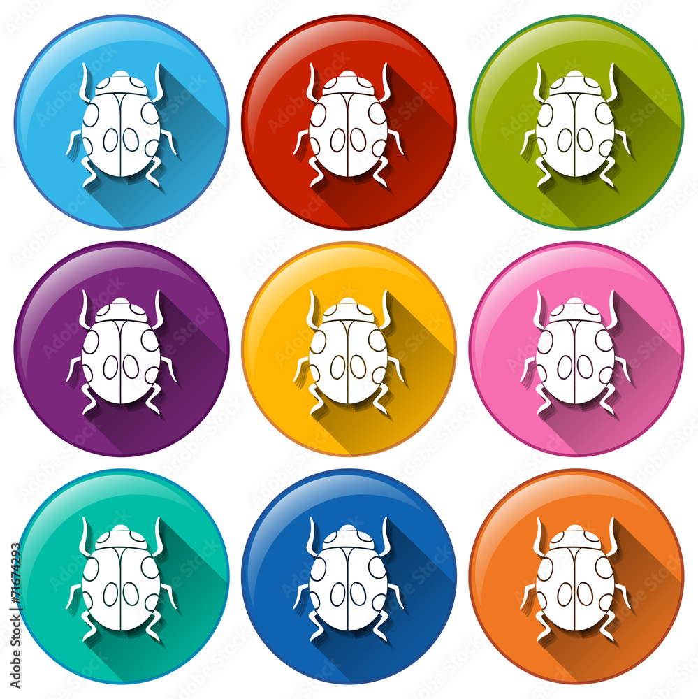 Round icons with bugs Stock Vector | Adobe Stock