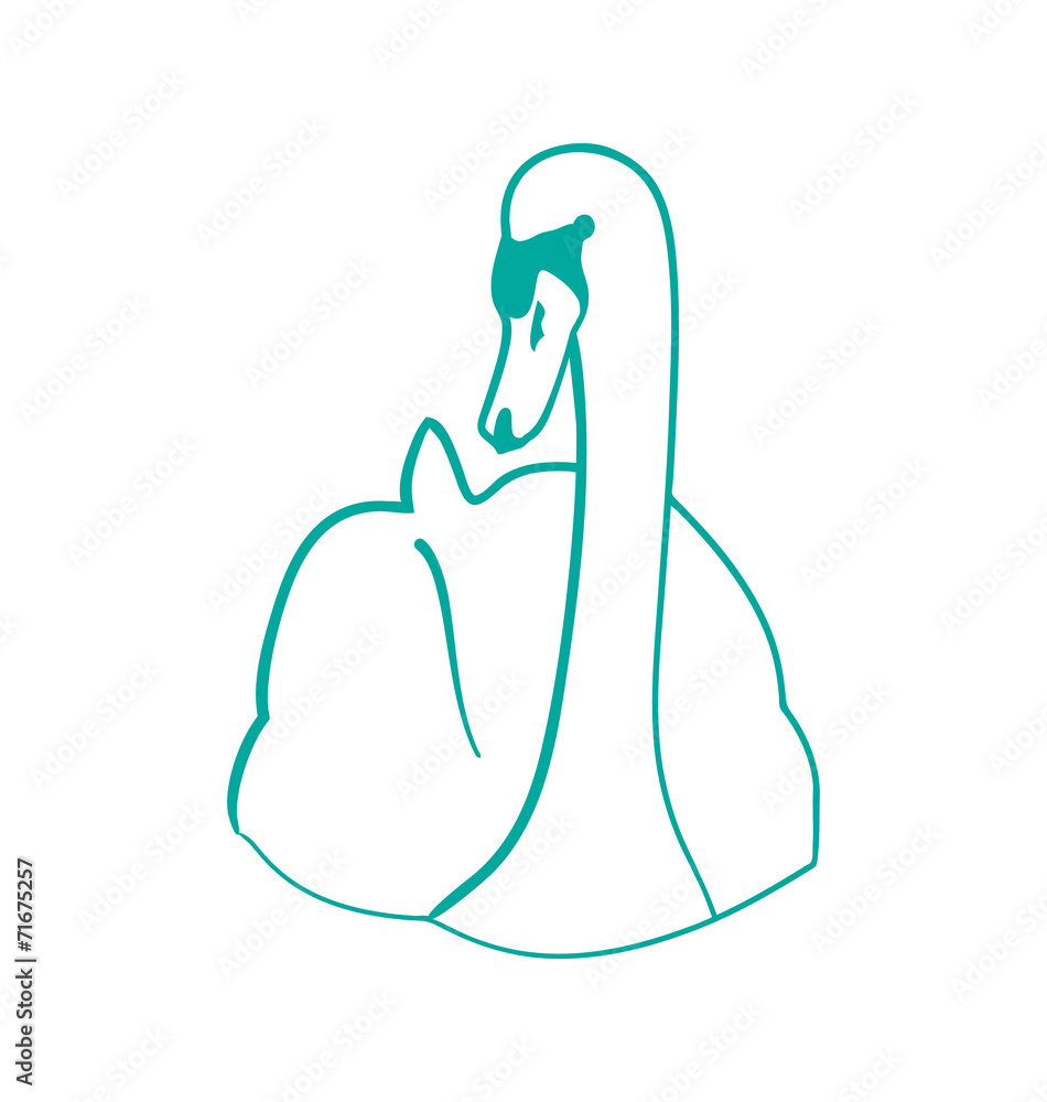 Sketch of hand drawn swan , outline contour style, isolated on w Stock ...
