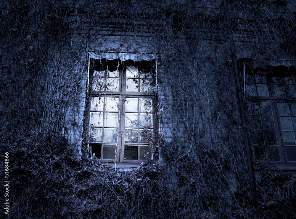 Spooky window Stock Photo | Adobe Stock