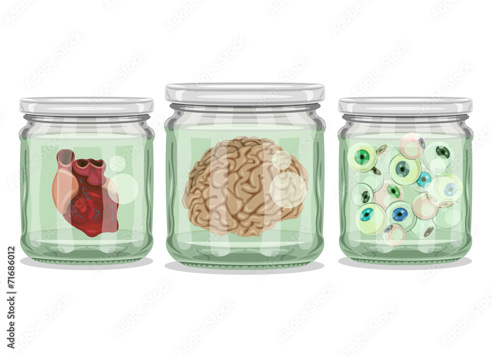 Organs in Jars - Brain, Heart and Eyeballs Stock Vector | Adobe Stock