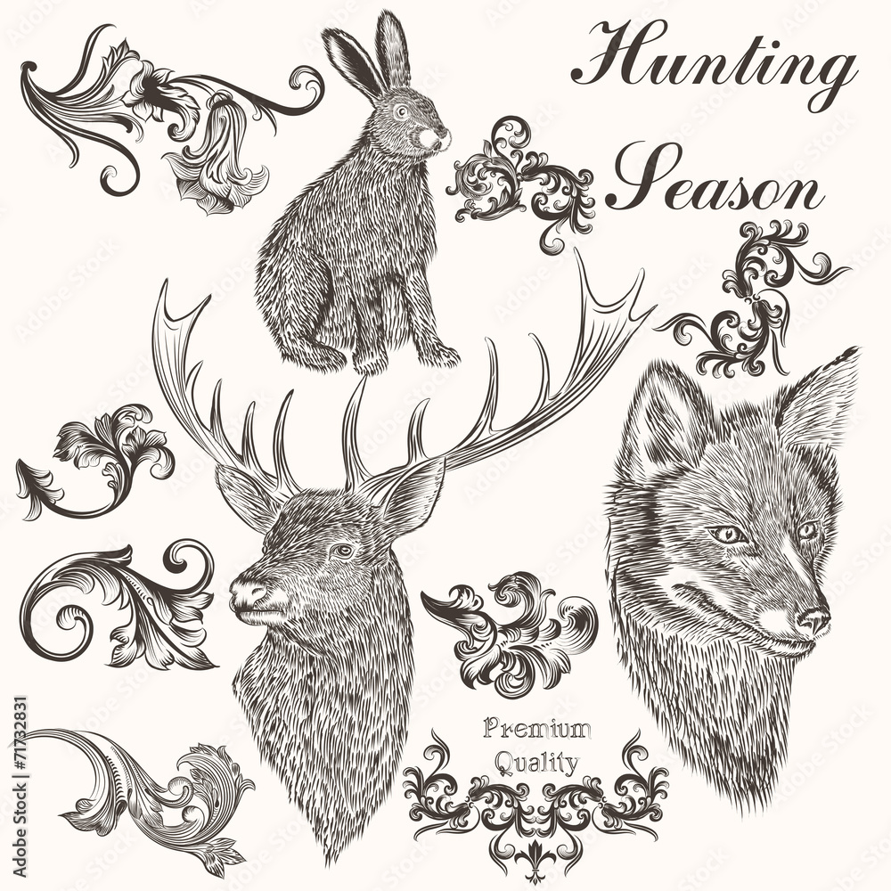 Collection of vector hand drawn animals and swirls Stock Vector | Adobe ...