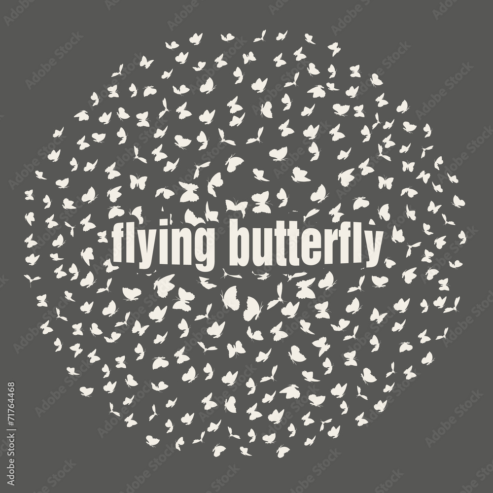 butterflies flying in a circle scatter in different directions. Stock ...