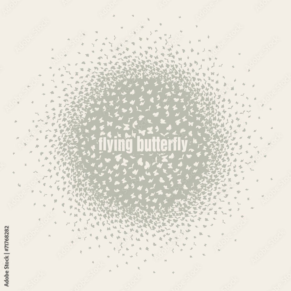butterflies flying in a circle scatter in different directions. Stock ...