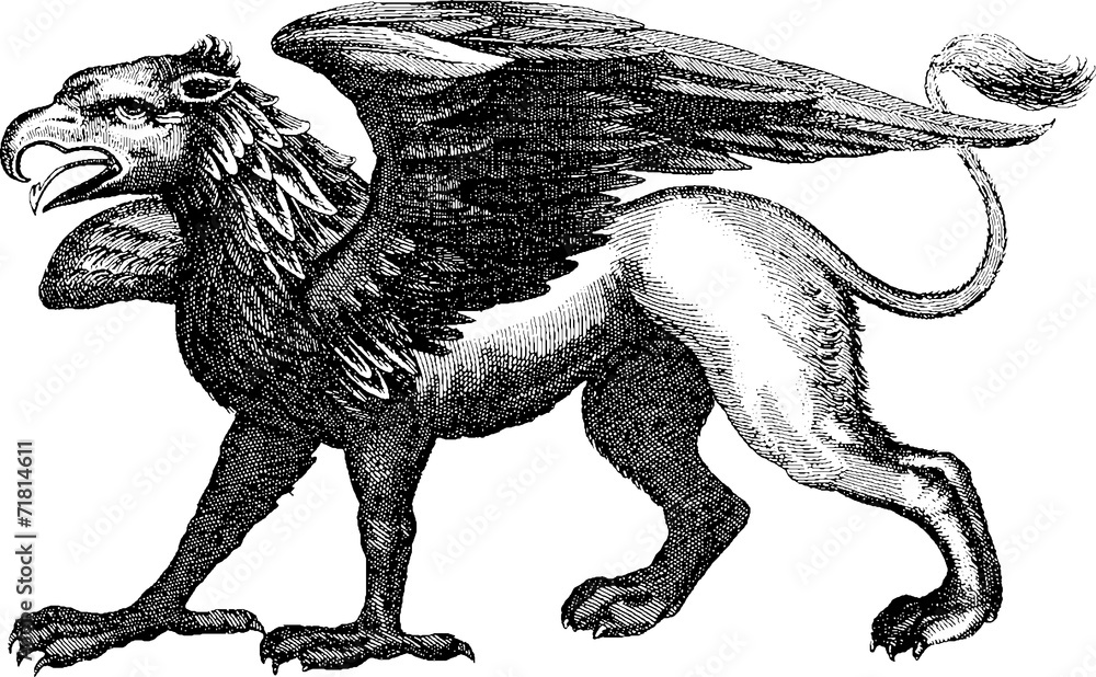 Vintage Illustration mythical beast griffon Stock Illustration | Adobe ...