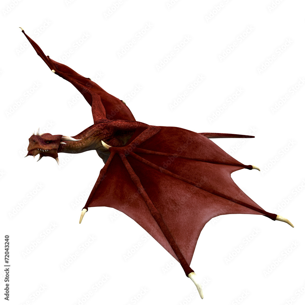 red dragon flying Stock Illustration | Adobe Stock